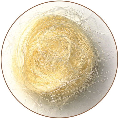 CELAVE-SISAL | Celesa